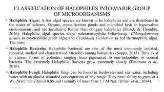HALOPHILIC ENZYMES IN INDUSTRIAL APPLICATIONS - Copy.pptx