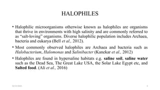 HALOPHILIC ENZYMES IN INDUSTRIAL APPLICATIONS - Copy.pptx