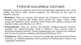 HALOPHILIC ENZYMES IN INDUSTRIAL APPLICATIONS - Copy.pptx