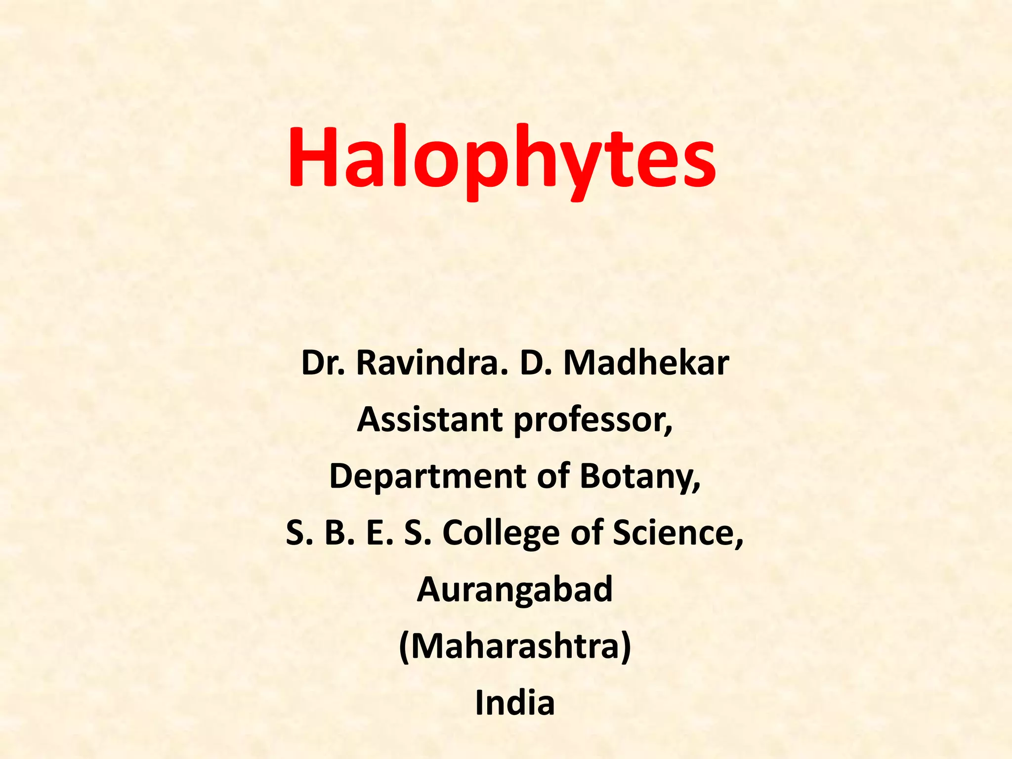 Halophypes | PDF