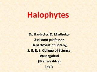 Halophypes | PDF