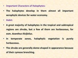 Halophypes | PDF