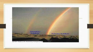 Halo, Sundogs, Types of Rainbows Presentaion.pptx