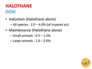 Halothane | PPTX