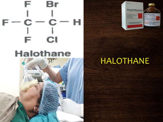 Halothane induced hepatitis | PPTX