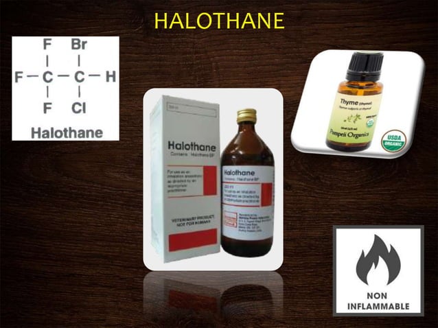 Halothane induced hepatitis | PPTX