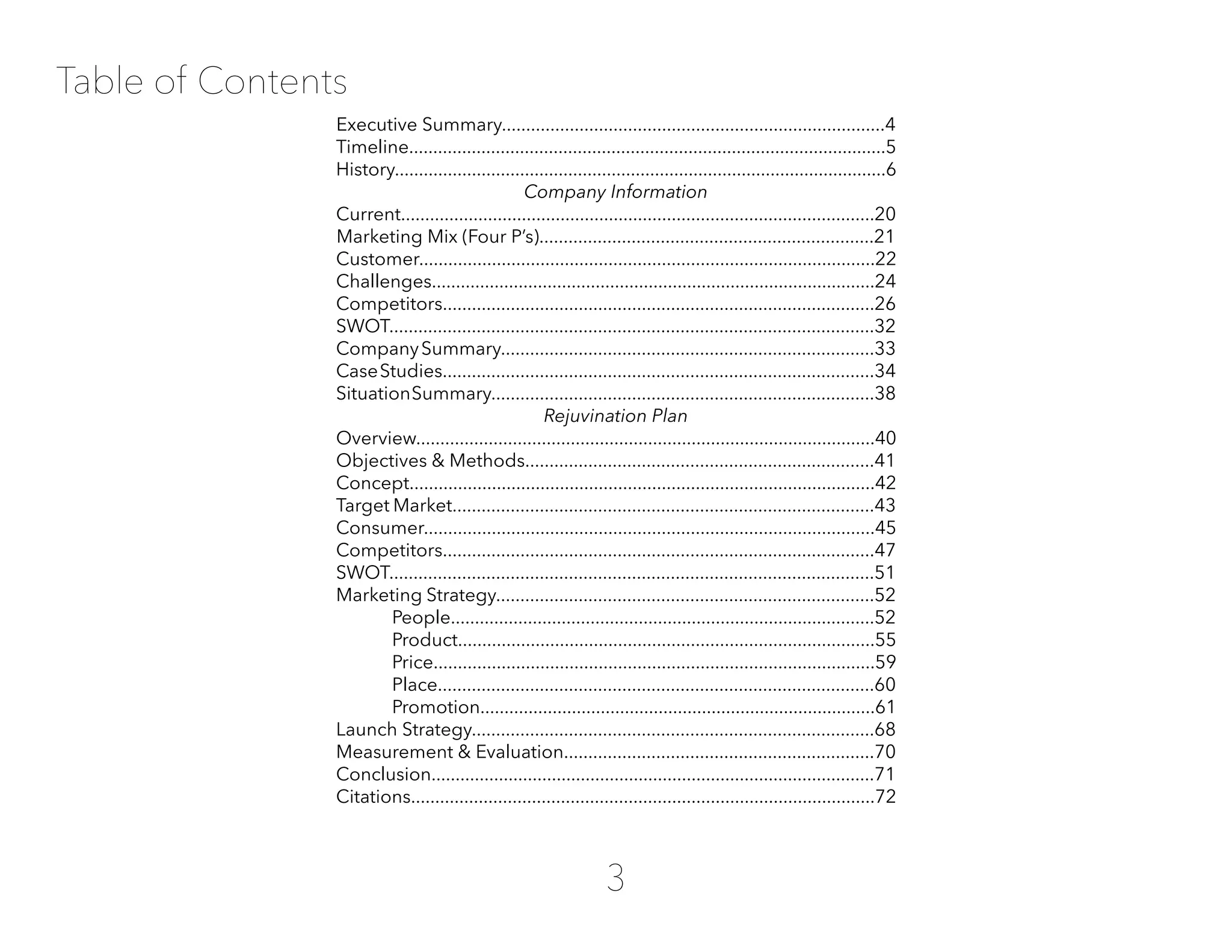 Final Graduate Project: Halston Rejuvenation Plan | PDF | Business | Business and Finance