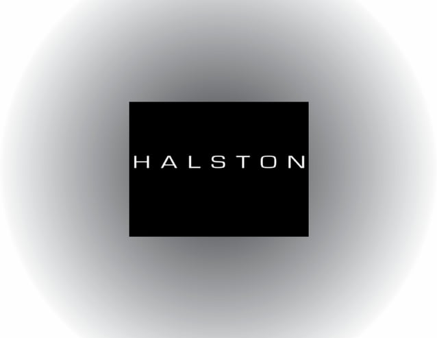 Final Graduate Project: Halston Rejuvenation Plan | PDF | Business | Business and Finance