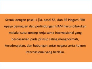 HAK AZASI MANUSIA - HAM | PDF