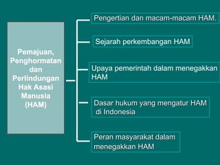 HAM 1.pptx