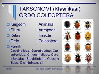 Hama coleoptera | PPTX