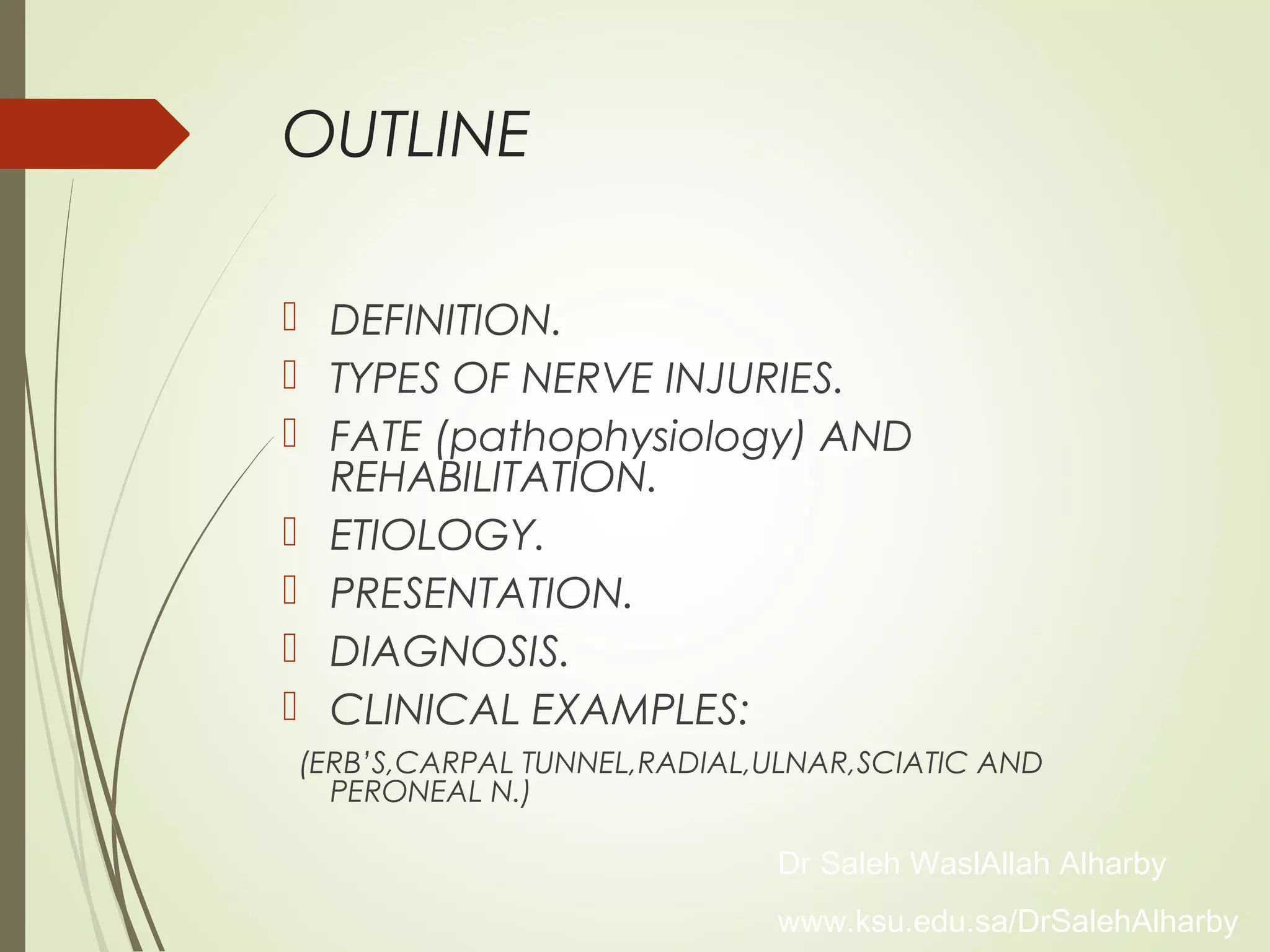 nerve injury | PPT