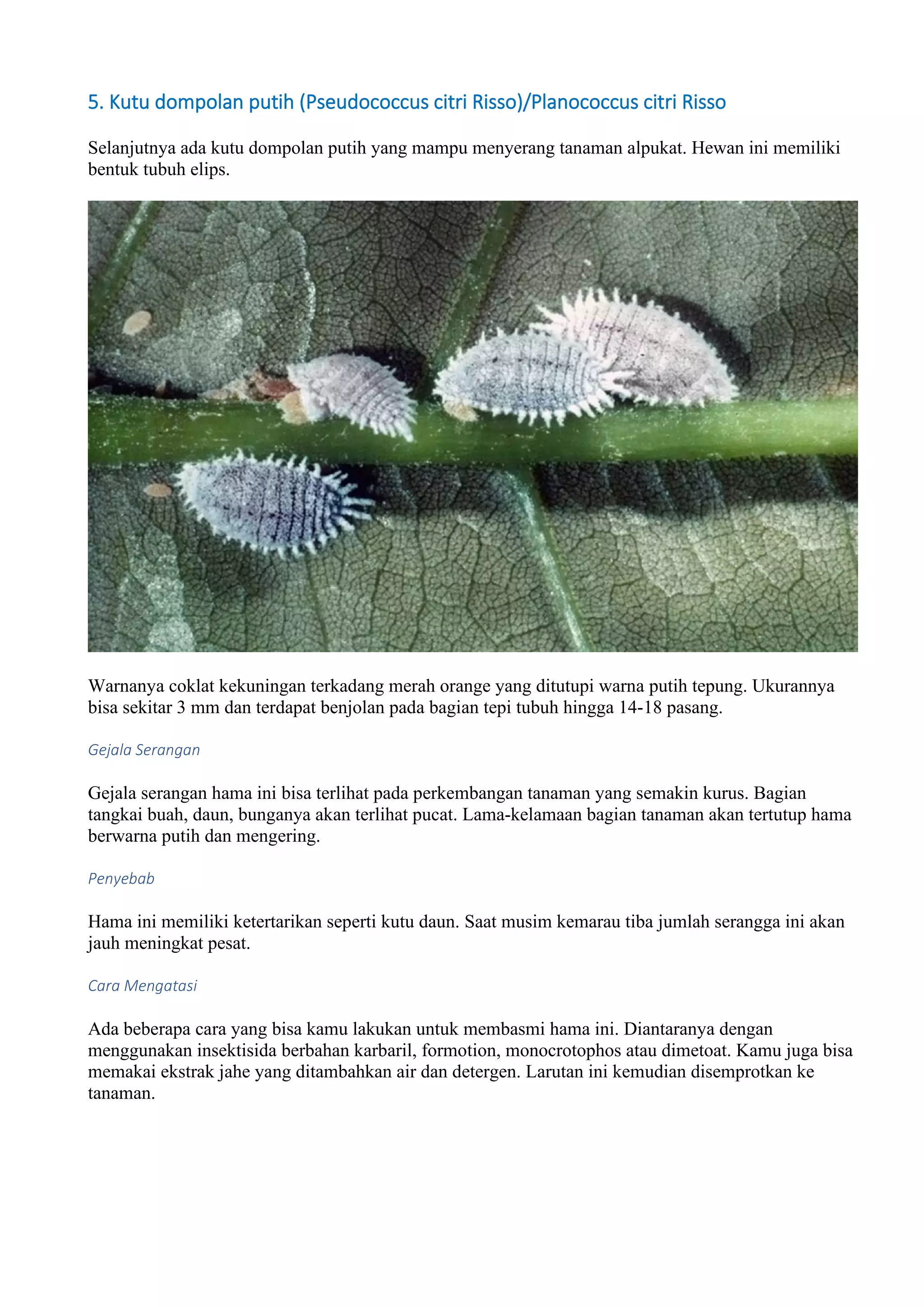 Hama dan Penyakit Alpukat.pdf