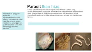 materi kHama dan penyakit ikan hias.pptx