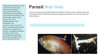 materi kHama dan penyakit ikan hias.pptx