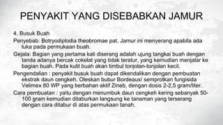 Hama dan penyakit tanaman alpukat | PPT
