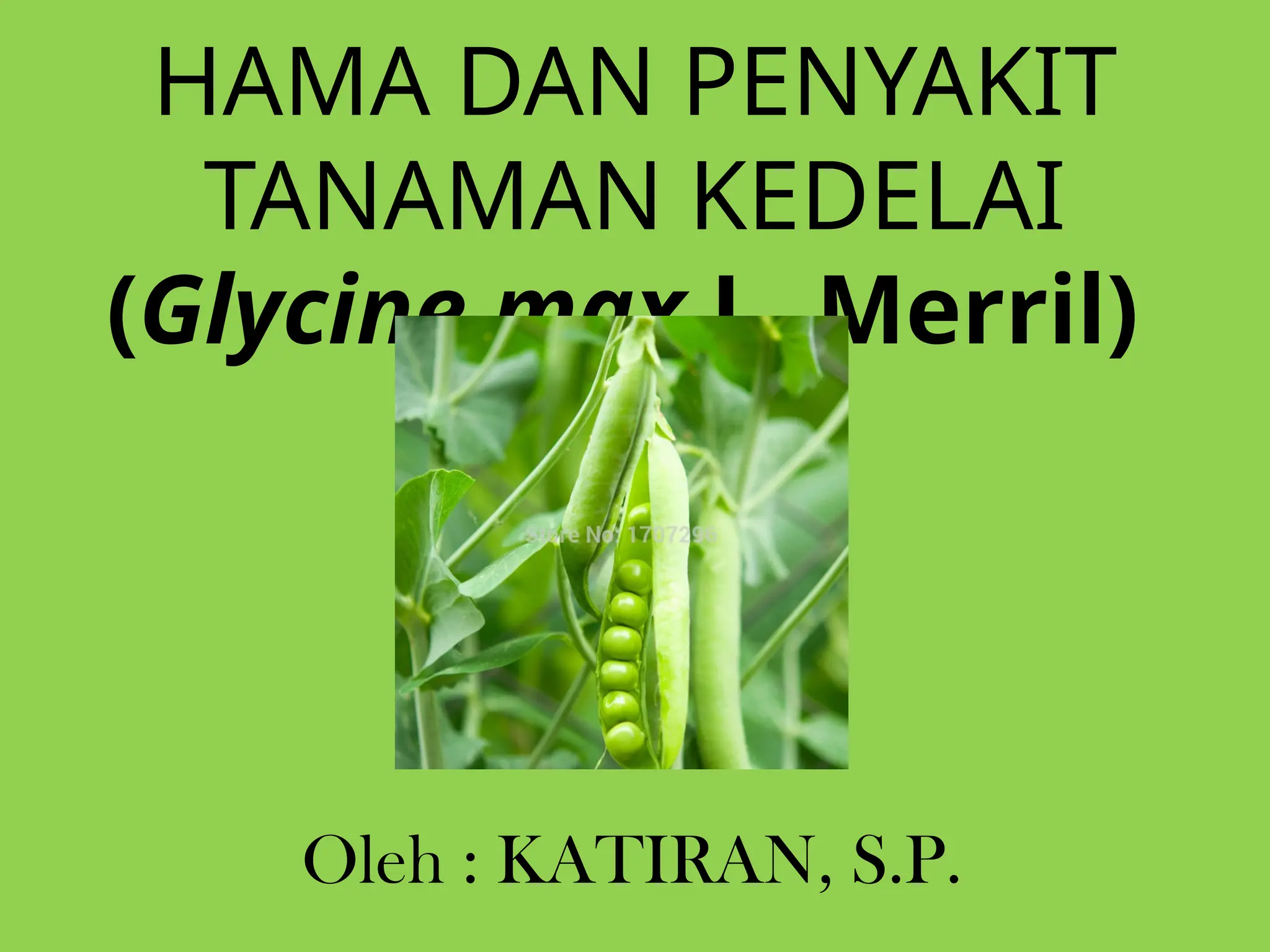 HAMA DAN PENYAKIT TANAMAN KEDELAI (Glycine max.pptx