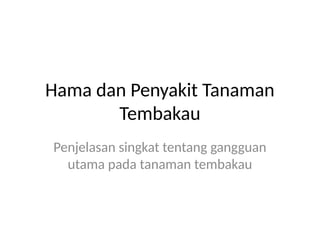 macam-macam hama dan penyakit pada tanaman tembakau | PPTX