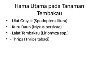 macam-macam hama dan penyakit pada tanaman tembakau | PPTX