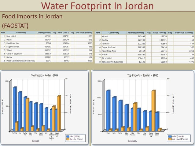 Water Footprint In Jordan by Arwa Hamaideh | PDF | Agriculture | Industries