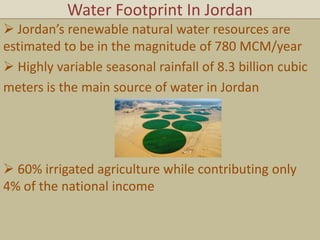 Water Footprint In Jordan by Arwa Hamaideh | PDF