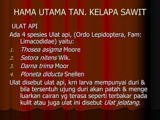 Hama Kelapa Sawit presentasi kuliah unsoed | PPT