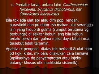 Hama Kelapa Sawit presentasi kuliah unsoed | PPT