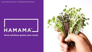 Hamama | PDF