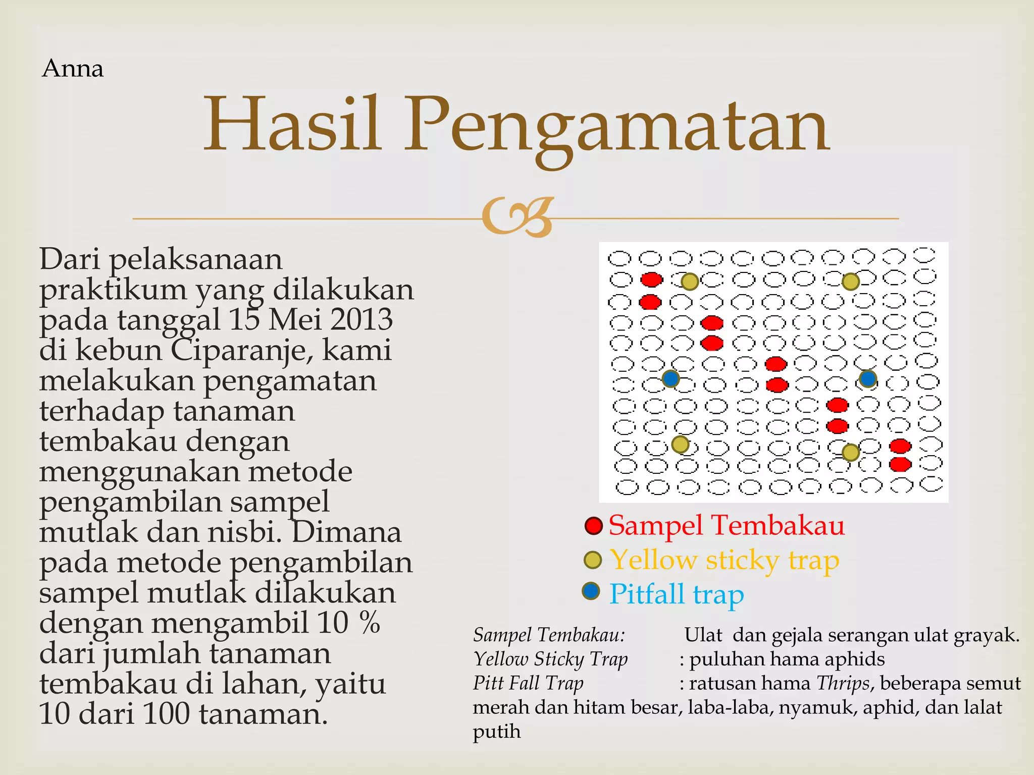 Hama pada tanaman tembakau | PPTX