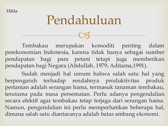 hama pada tembakau