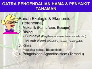Hama Tanaman Padi di Negara Tropis (Indonesia) | PPT