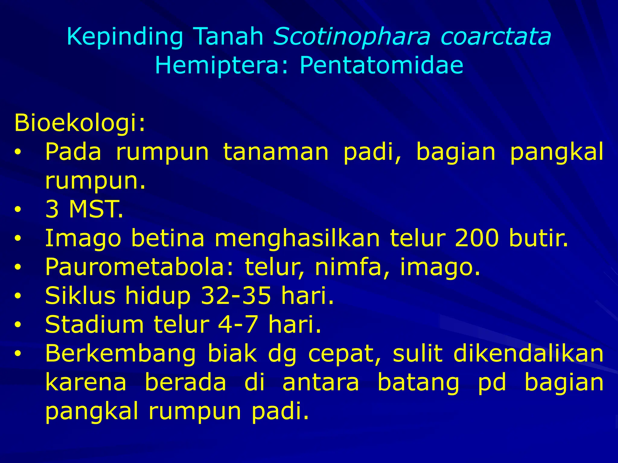 Hama Penting pada Tanaman Padi 1. Jenis hama padi 2. Bioekologi hama ...