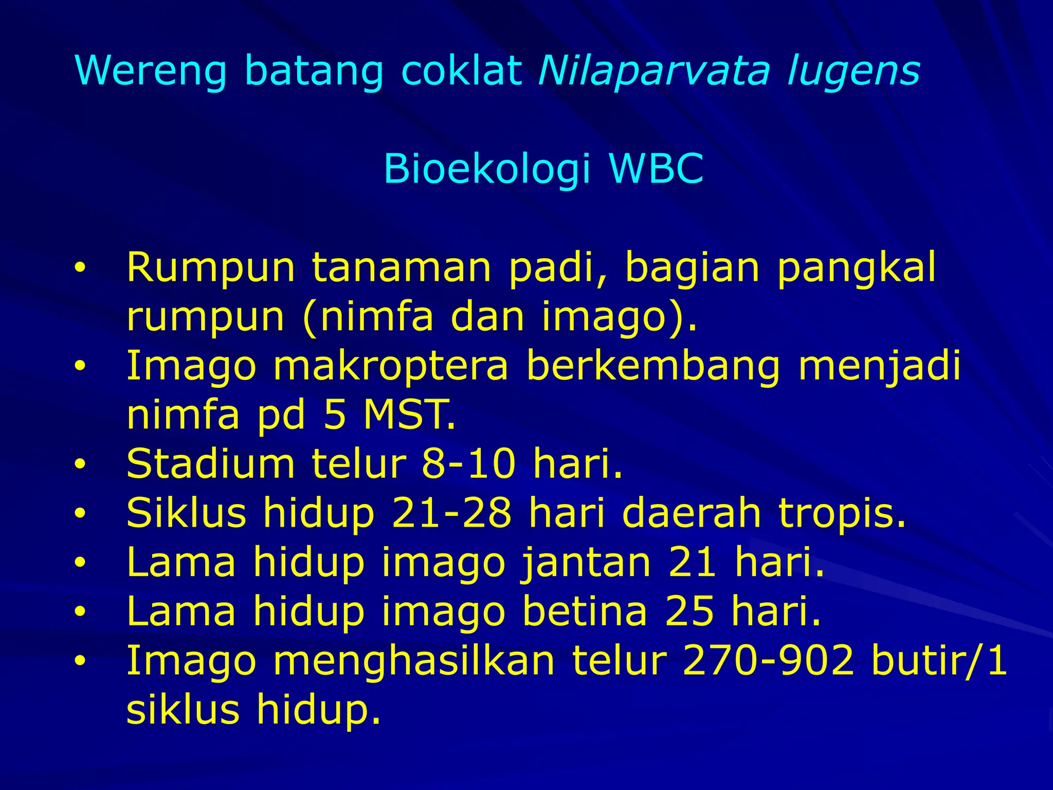 Hama Penting pada Tanaman Padi 1. Jenis hama padi 2. Bioekologi hama ...