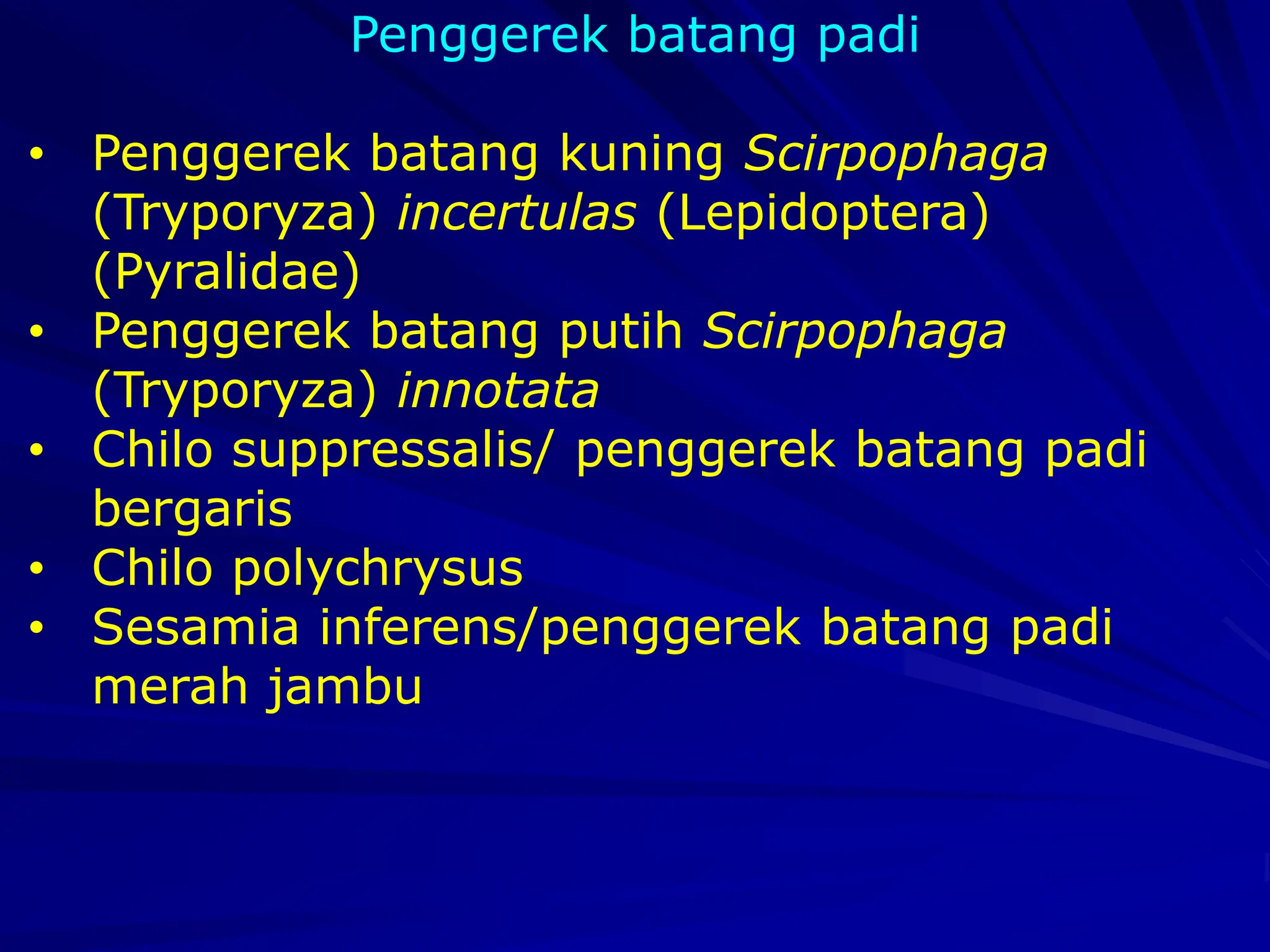 Hama Penting pada Tanaman Padi 1. Jenis hama padi 2. Bioekologi hama ...