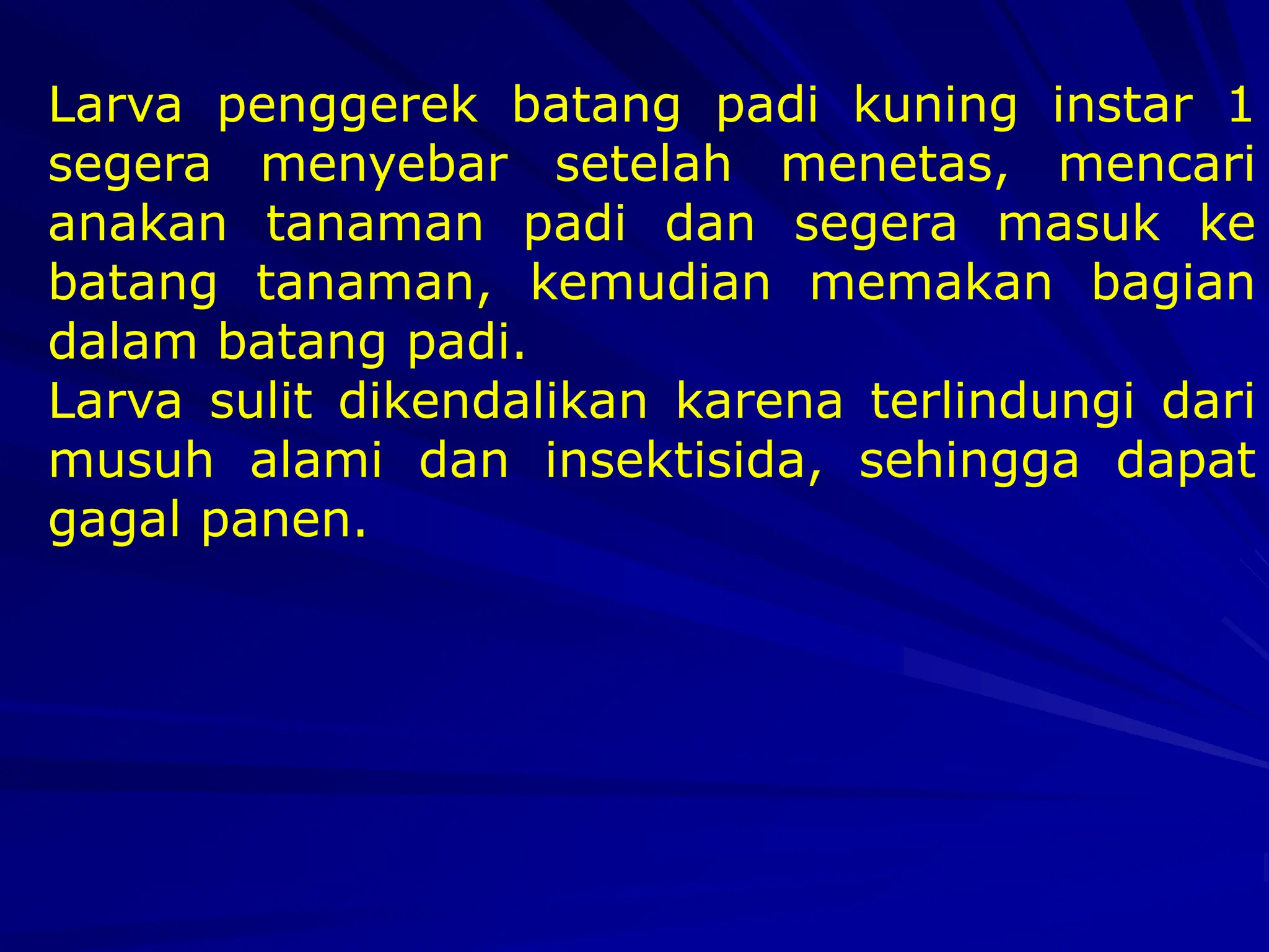 Hama Penting pada Tanaman Padi 1. Jenis hama padi 2. Bioekologi hama ...