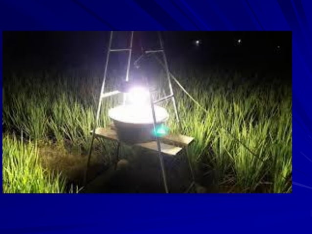 Hama Penting pada Tanaman Padi 1. Jenis hama padi 2. Bioekologi hama ...