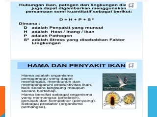 Hama Penyakit IKAN KERAPU KJA DI PULAU.pptx