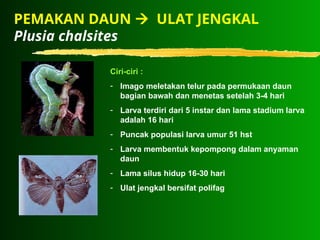 HAMA DAN PENYAKIT PADA TANAMAN KEDELAI.ppt