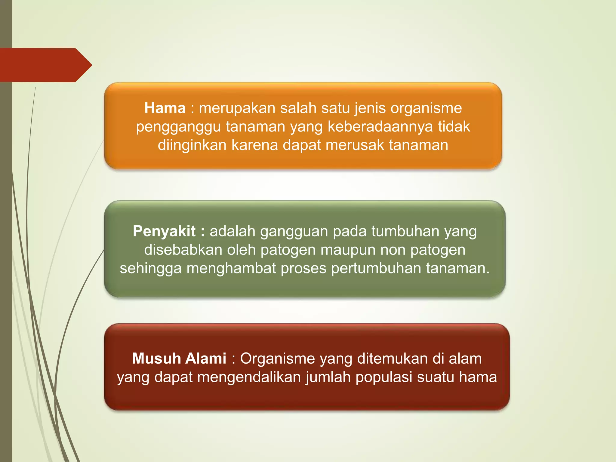 HAMA PENYAKIT MA.pptx