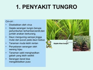 Hama dan Penyakit utama pada tanaman Padi.ppt