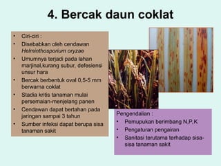 Hama_Penyakit_Padi.ppt Hama dan penyakit yang menyerang padi | PPT