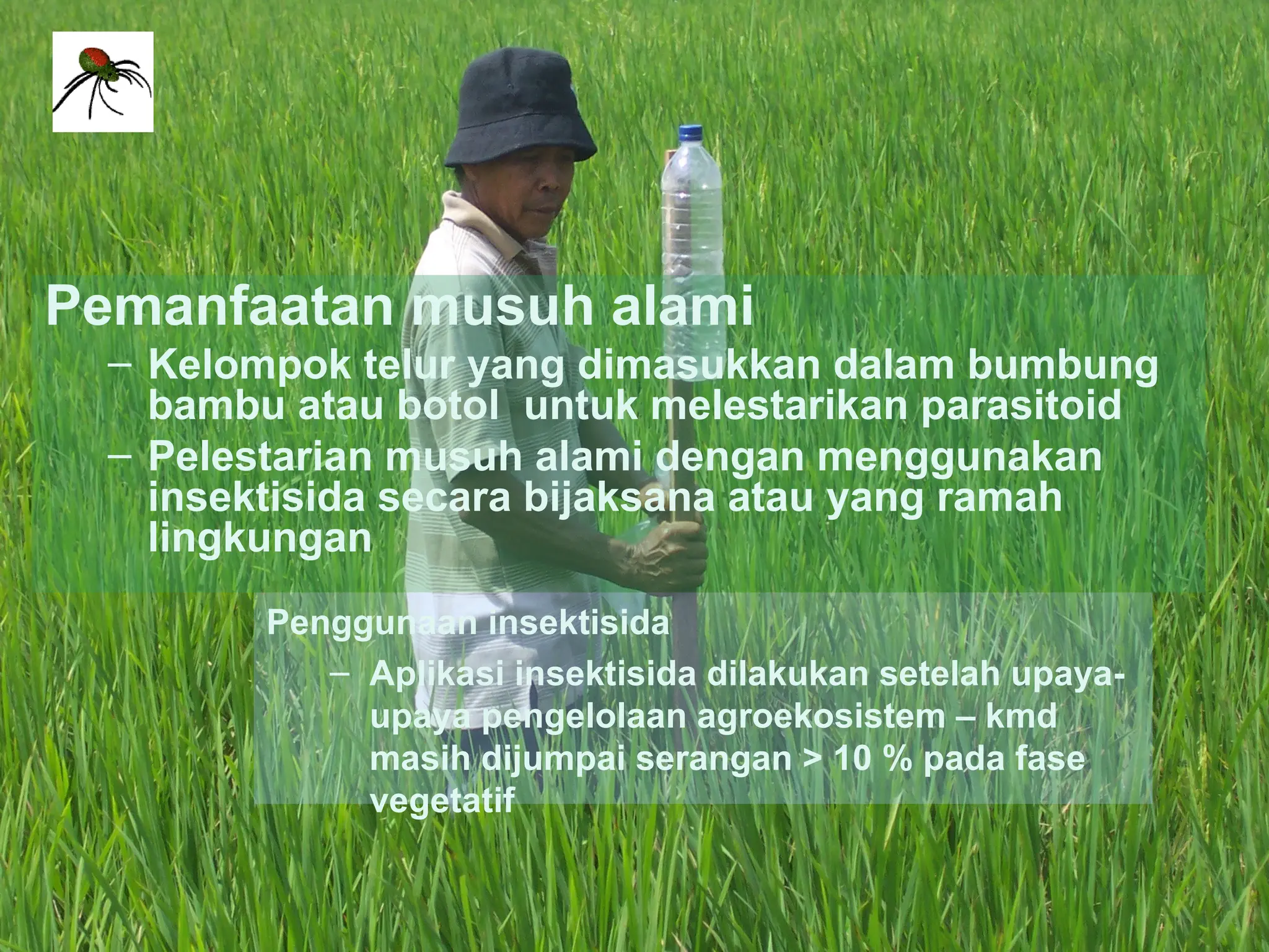 Cara Pengendalian Hama dan Penyakit tanaman pangan | PPT