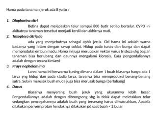 HAMA DAN PENYAKIT PADA TANAMAN DAN PERBEDAAN ANTARA HAMA DAN PENYAKIT ...