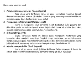 HAMA DAN PENYAKIT PADA TANAMAN DAN PERBEDAAN ANTARA HAMA DAN PENYAKIT ...