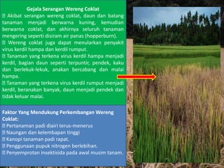 Hama Penyakit Tanaman Padi | PPTX