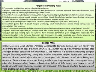 Hama Penyakit Tanaman Padi | PPTX