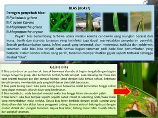 Hama Penyakit Tanaman Padi | PPTX