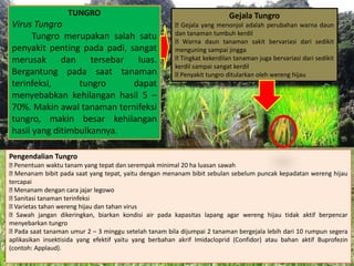 Hama Penyakit Tanaman Padi | PPTX