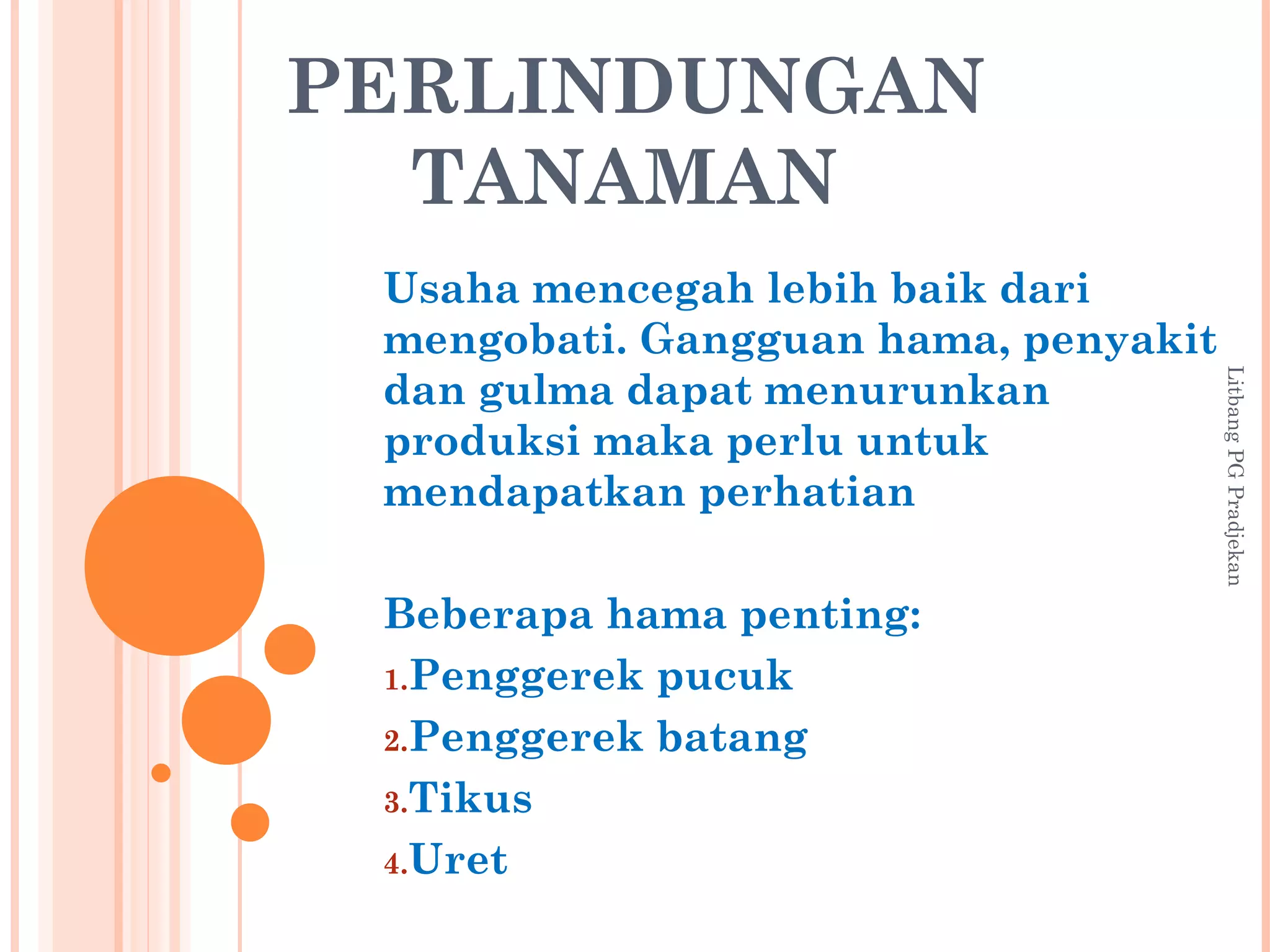 Hama & Penyakit Tanaman Tebu | PPT