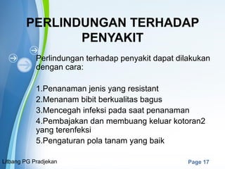 Hama & Penyakit Tanaman Tebu | PPT